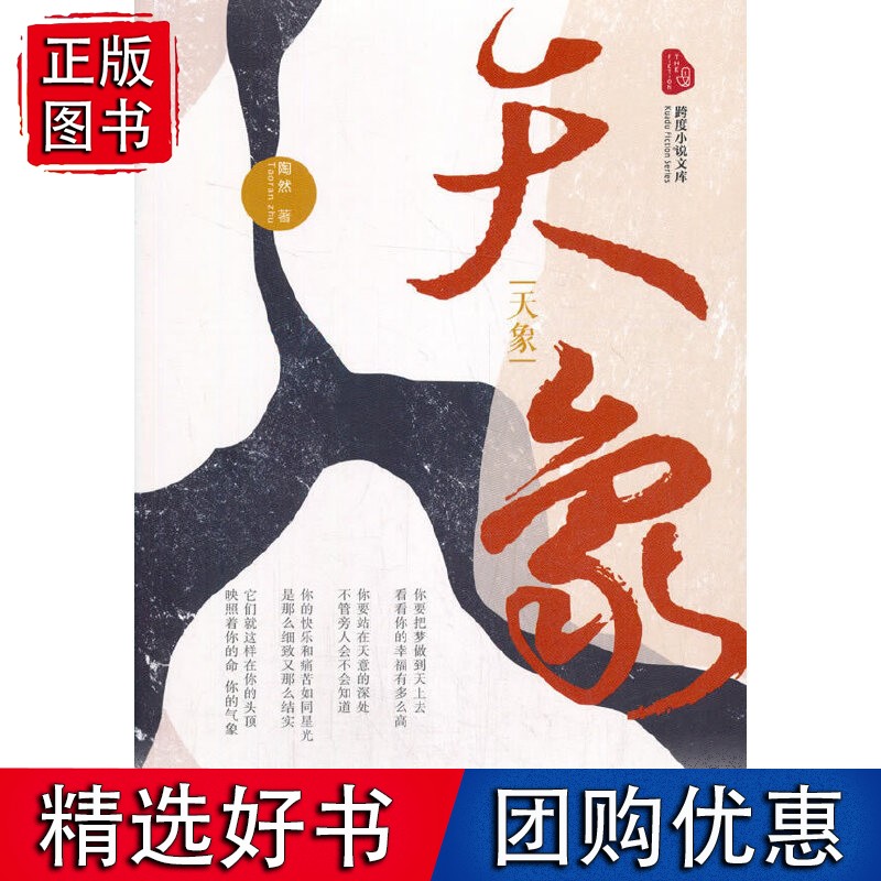 天象（跨度小说文库）
