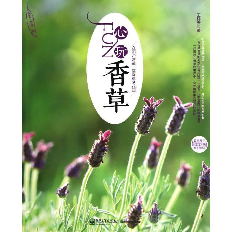 FUN心玩香草 王梓天著【书】