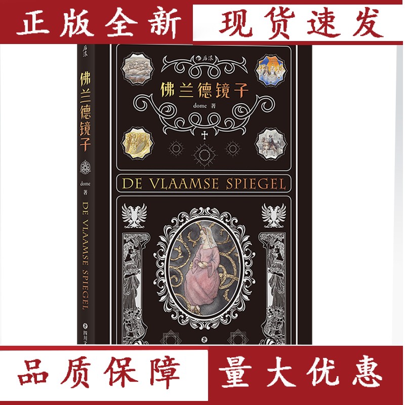 佛兰德镜子 晋江dome胡葳纸书力作 当代原创长篇小说 后浪 书店书籍