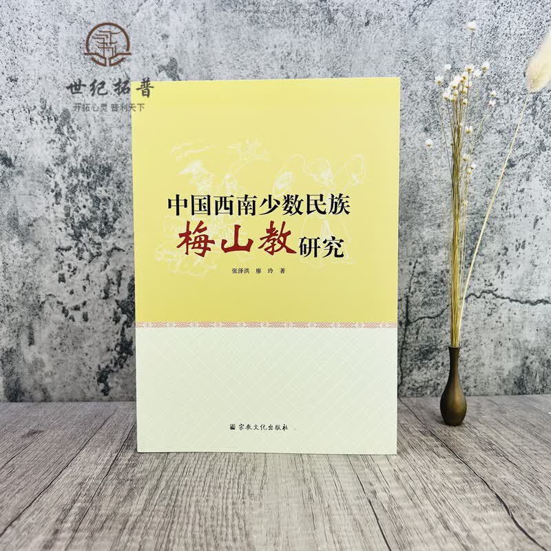 中国西南少数民族梅山教研究 张泽洪 廖玲著 宗教文化463页