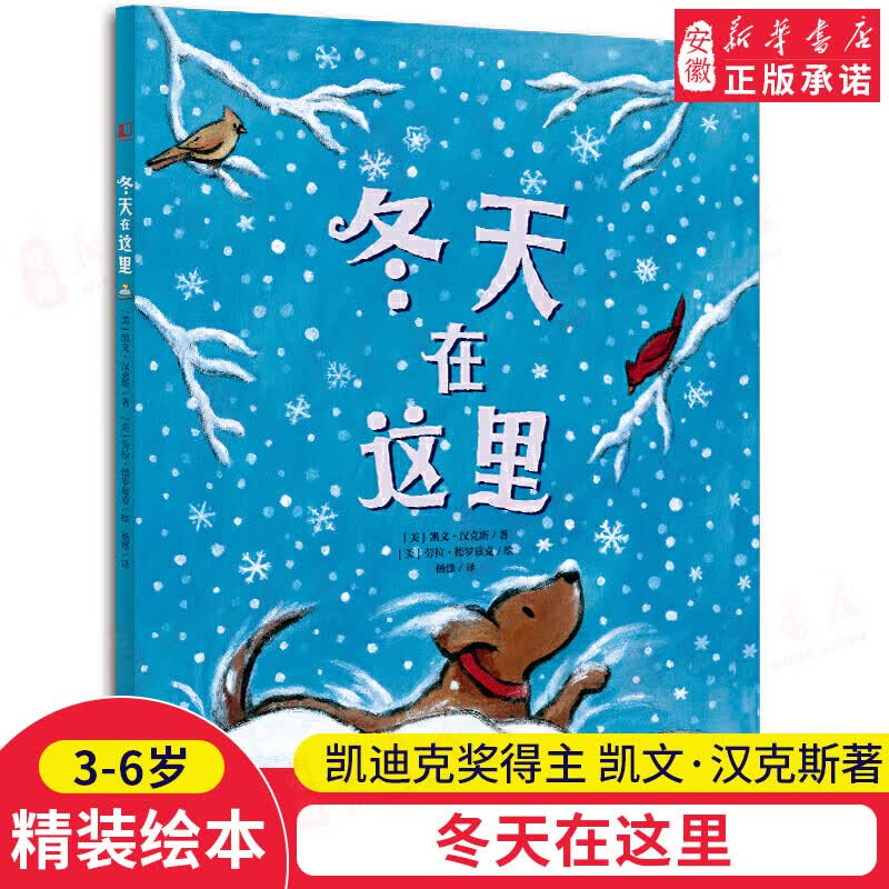 耐心的资本 维多利亚伊凡希娜等著 以机构投资者视角和私募基金视 冬天在这里
