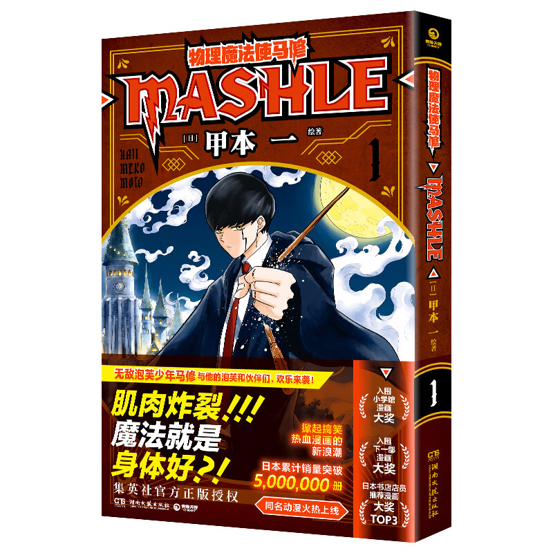 物理魔法使马修1 湖北