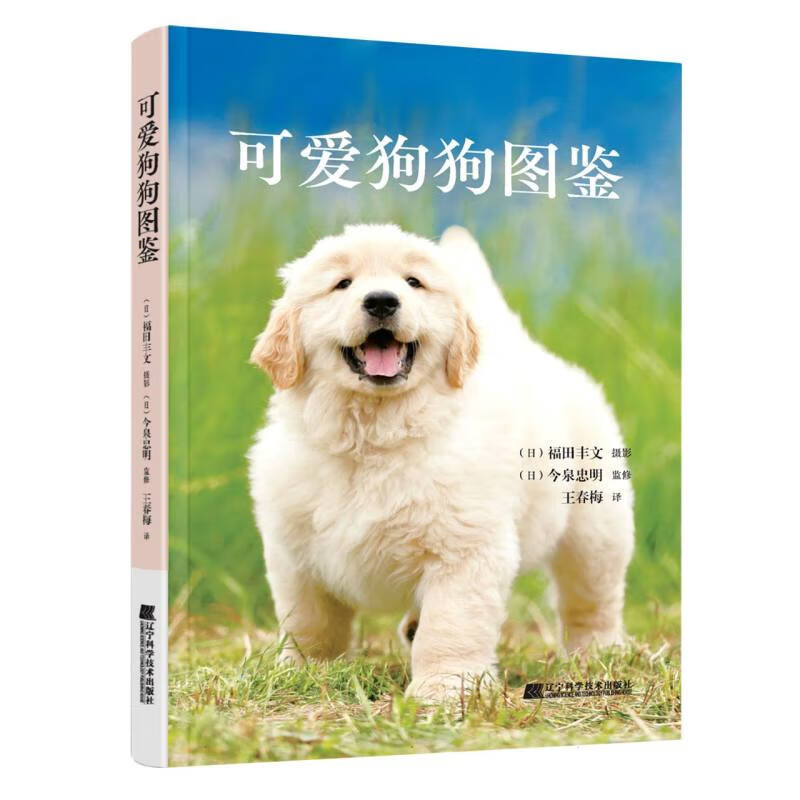 可爱狗狗图鉴