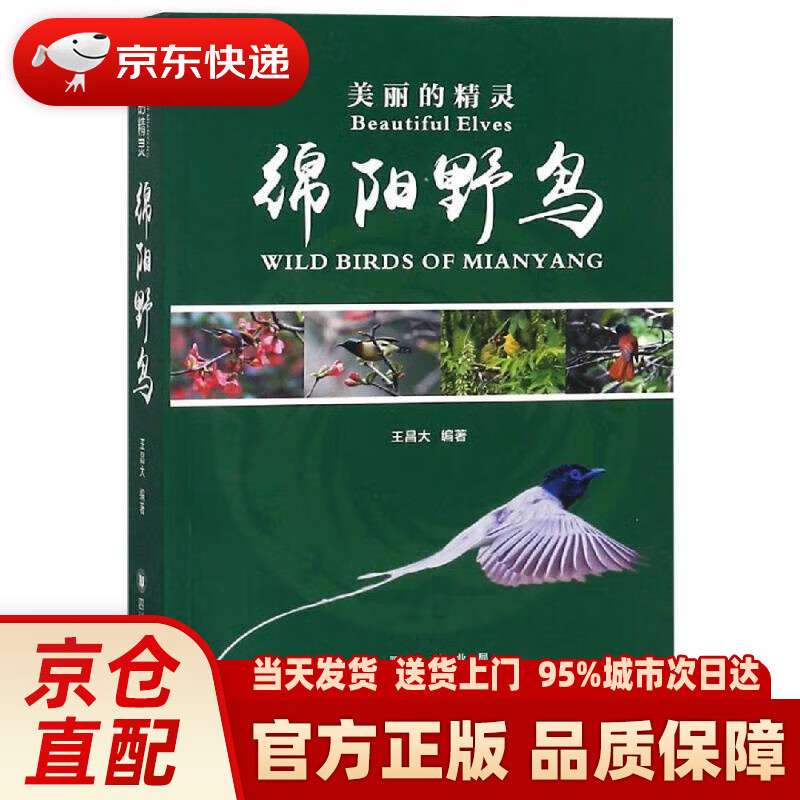 美丽的精灵：绵阳野鸟
