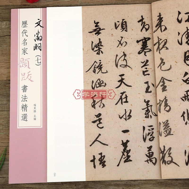 学海轩 共8跋 历代名家题跋书法选文徵明七 法帖墨迹 杨东胜水墨绢本 高清原色放大附录文句读附繁体旁注文征明毛笔字帖文物出版社