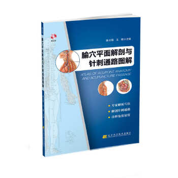腧穴平面解剖与针刺通路图解