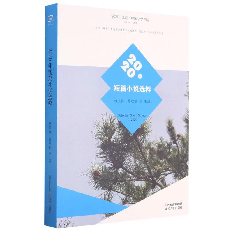 2020年短篇小说选粹(2020北岳中国文学年选) 杨庆祥 小说/世界名著