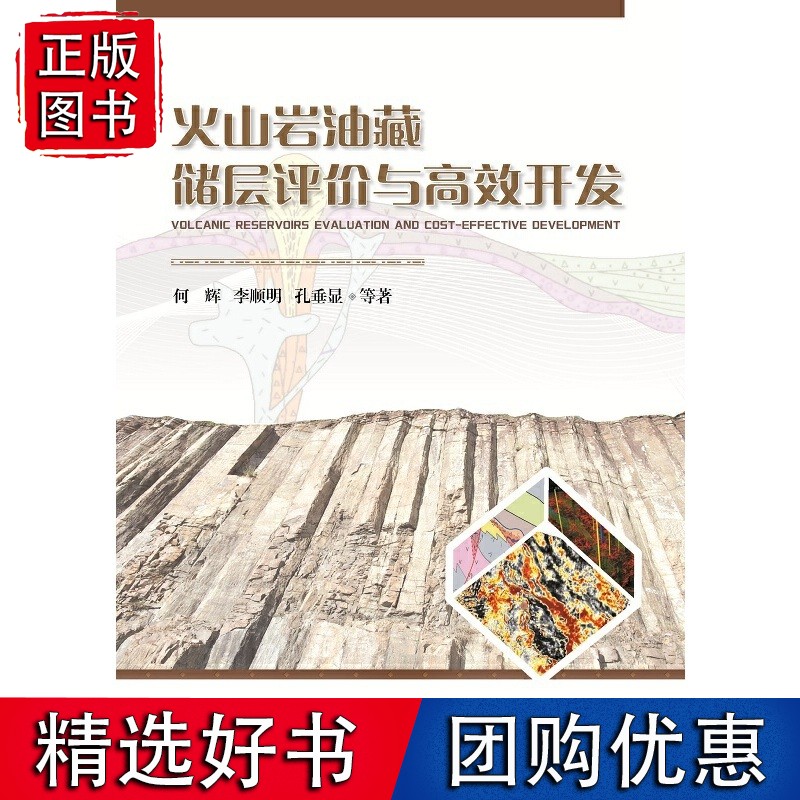 火山岩油藏储层评价与开发