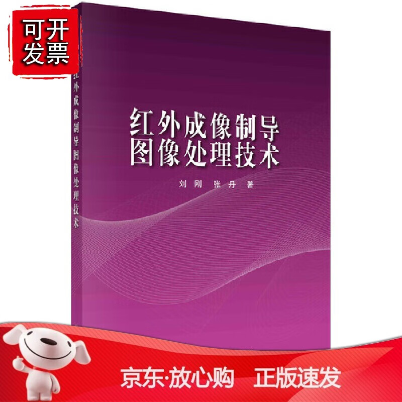 红外成像制导图像处理技术