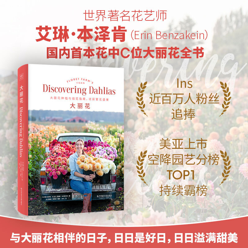 大丽花(精)