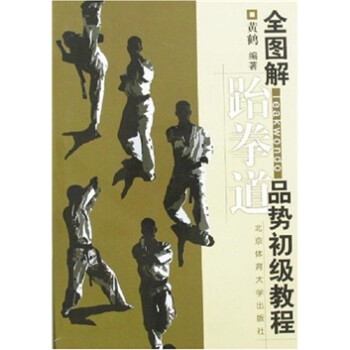 全图解跆拳道品势初级教程 黄鹤 著