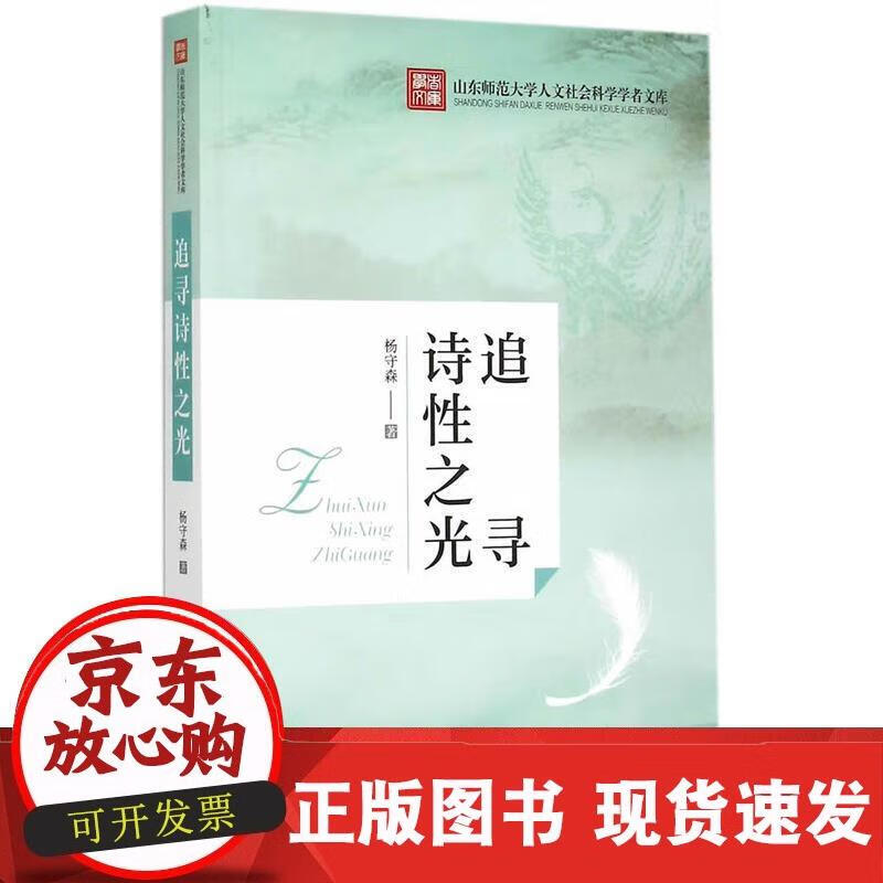 追寻诗性之光 杨守森 9787010147826