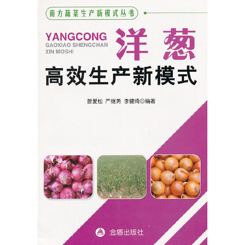 洋葱高效生产新模式