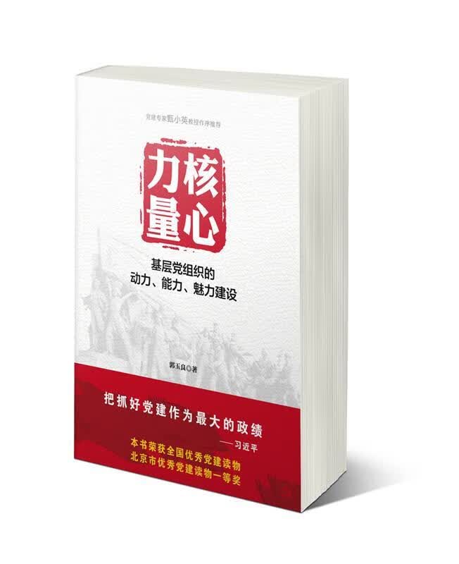 核心力量:基层党组织的动力、能力、魅力建设