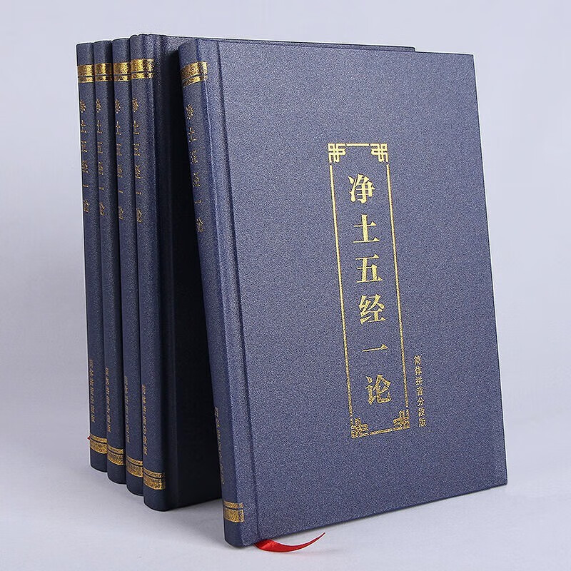 地藏经 金刚经药师经  妙法莲华经简体注音 楞严经拼音 拼音版 32K【五经一论】