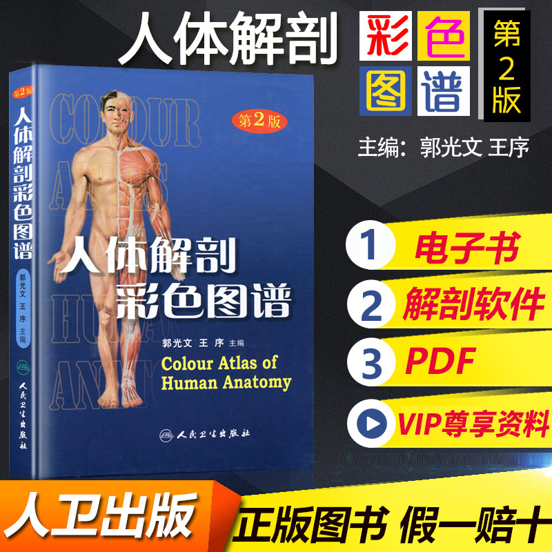 人体解剖彩色图谱(第2版)郭光文 全彩人体解剖图谱西医外科医生用书搭奈特正常人体解剖学彩色图谱教材书