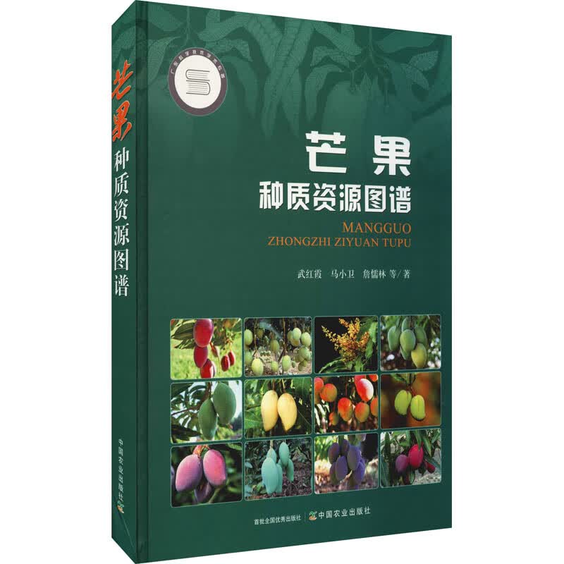 芒果种质资源图谱