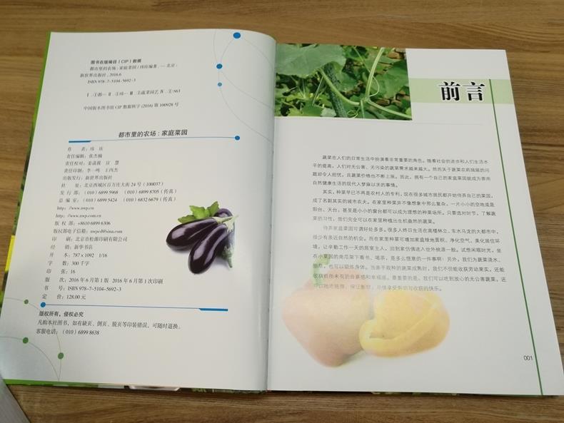 黄金崩溃 牛刀【书】