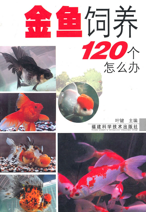 金鱼饲养120个怎么办【特惠】
