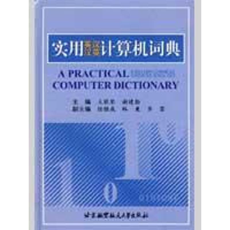 实用英汉汉英计算机词典 王能琴,谢建勋主编
