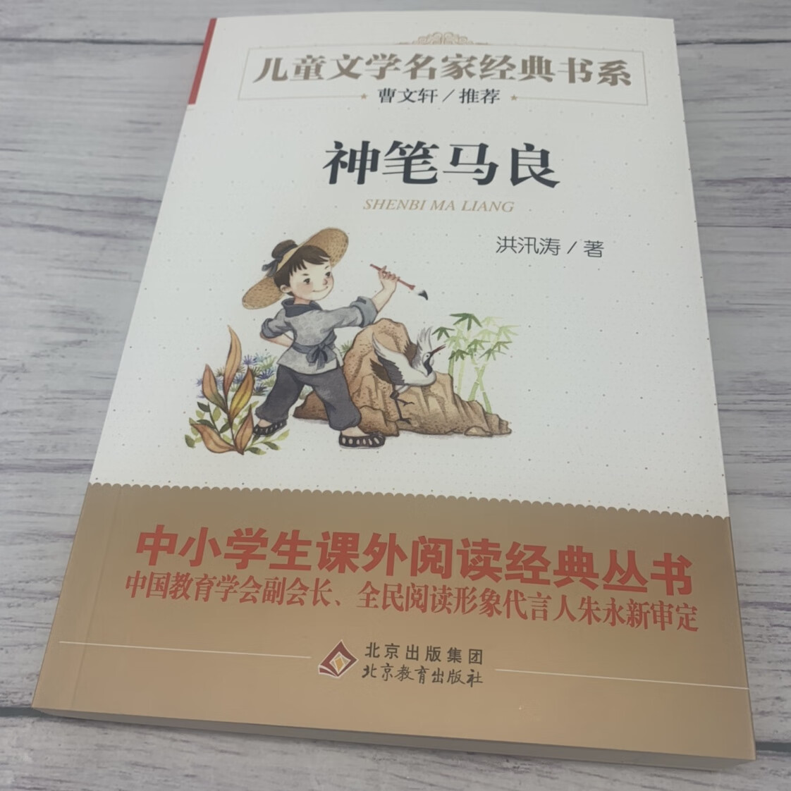 神笔马良/洪汛涛著（二年级下教材配套）儿童文学名家书系/北京教育/课外阅读推荐书目/12345年级小学