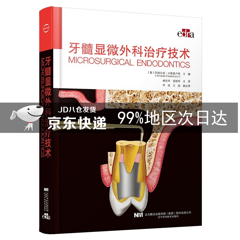 牙髓显微外科治疗技术
