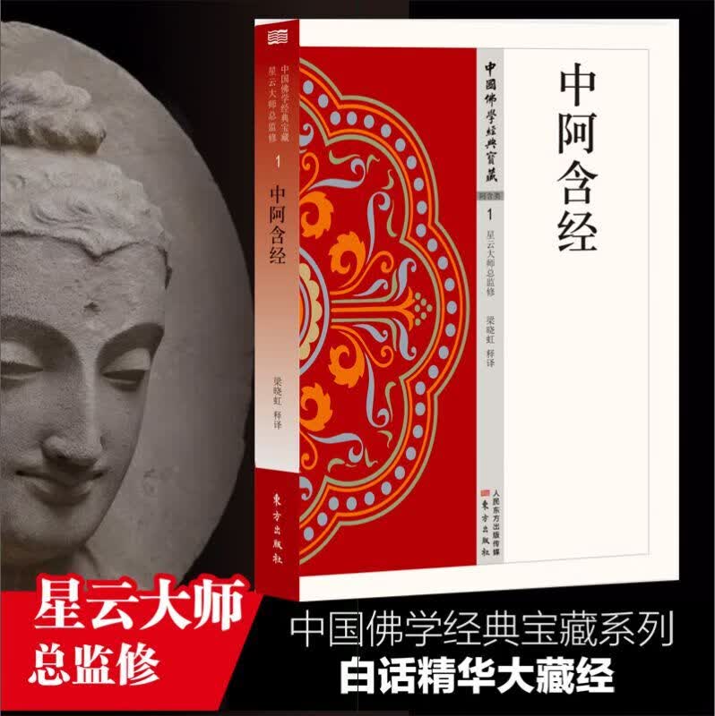 中阿含经中国佛学经典宝藏星云大师总监修白话精华大藏经佛学读物