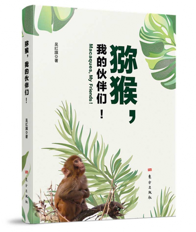 猕猴我的伙伴们