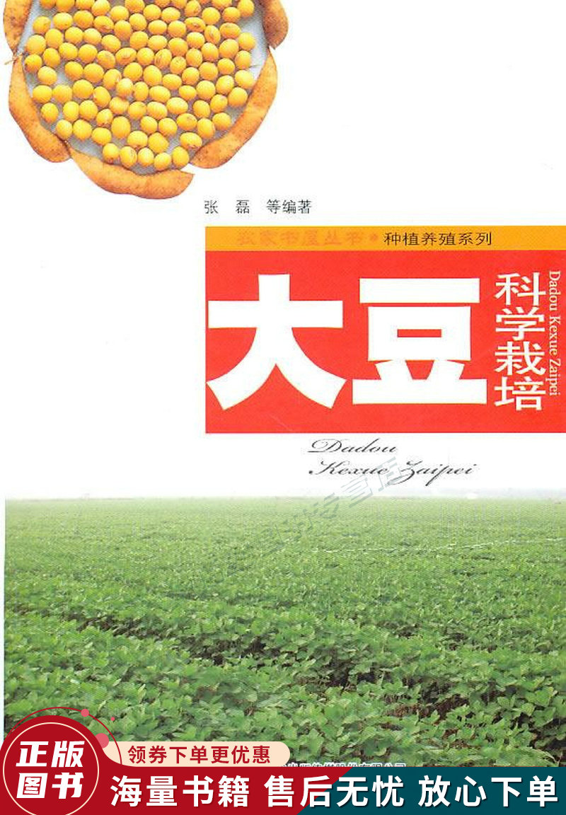 大豆科学栽培