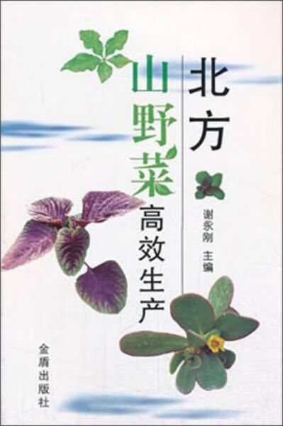 北方山野菜高效生产9787508280943