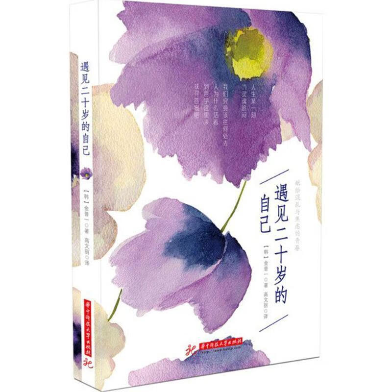 遇见二十岁的自己【好书，下单速发】
