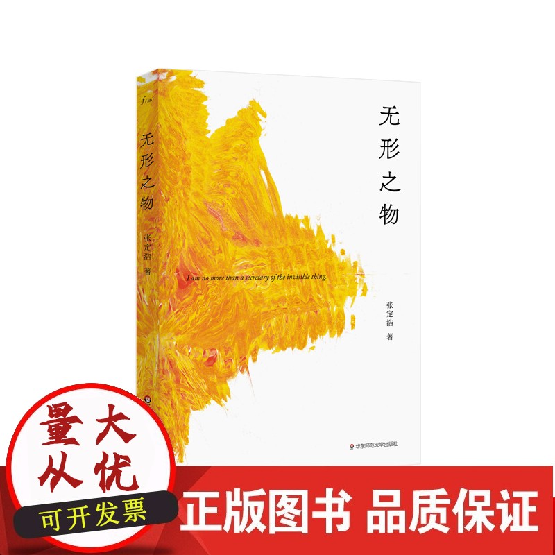 无形之物 张定浩 谜文库 文学批评论集