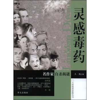灵感毒药 王锐 著【书】