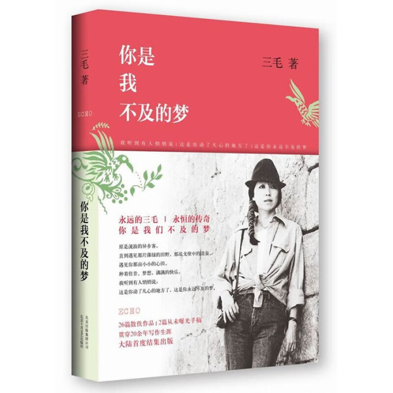 你是我不及的梦