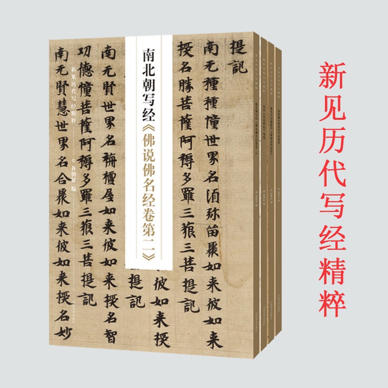 新见历代写经精粹全4册 金光明经残卷 南北朝写经等 书法赏析书籍 佛经字帖 河南美术出版社