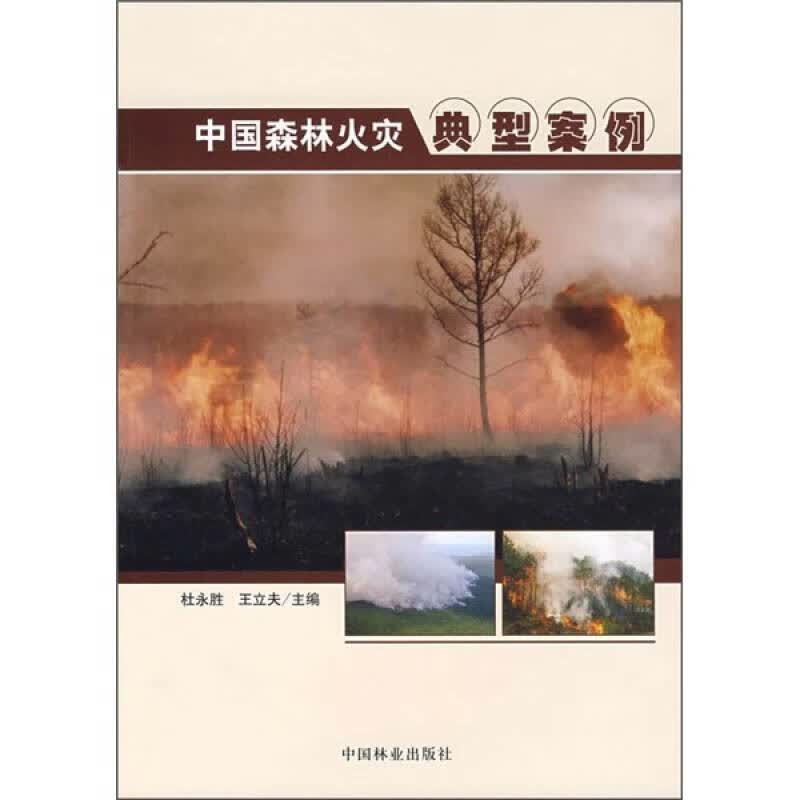 中国森林火灾典型案例【精选】