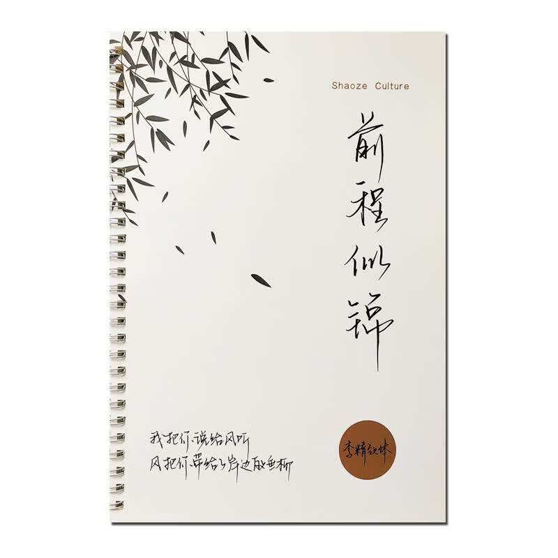 行书字帖成年人男女生漂亮字体霸大气硬笔连体行草书法练字帖手写 字帖（无赠品）