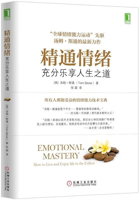 精通情绪:充分乐享人生之道