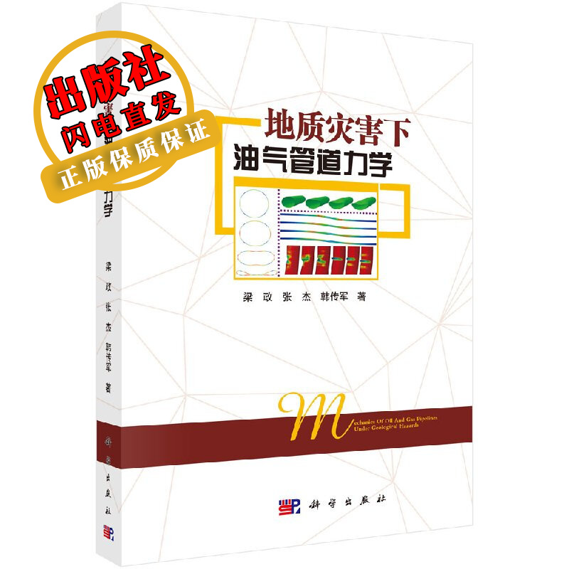 地质灾害下油气管道力学