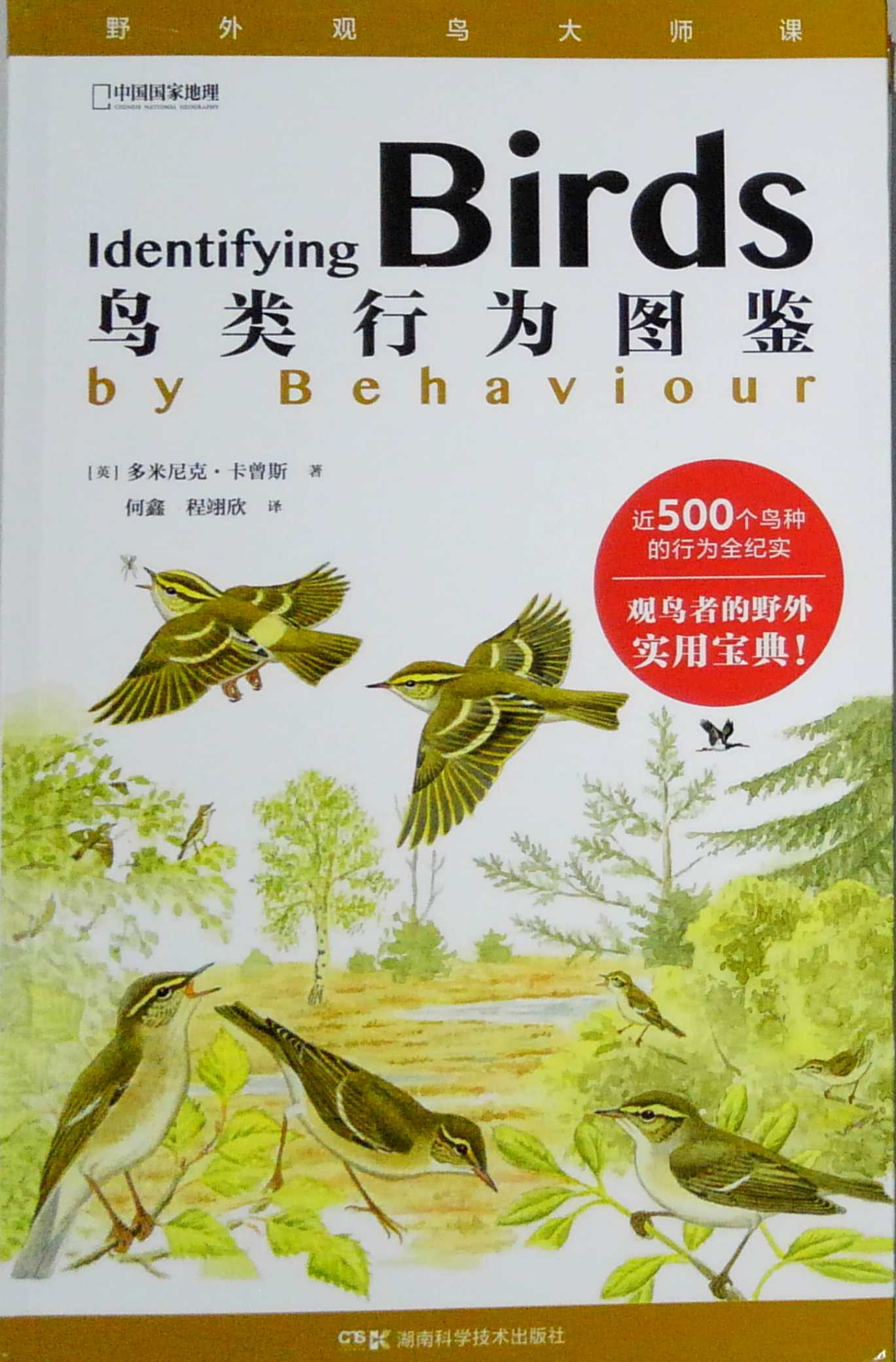 鸟类行为图鉴