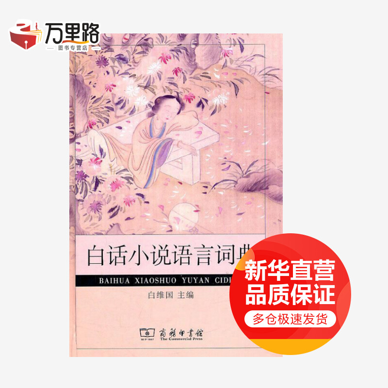 白话小说语言词典/白维国编