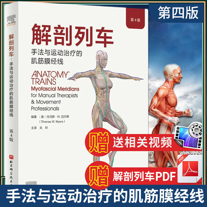 解剖列车 手法与运动治疗的肌筋膜经线 第4四版 身体解读结构分析 肌筋膜经线与东方医学 托马斯W迈尔斯 北京科学技术出版社