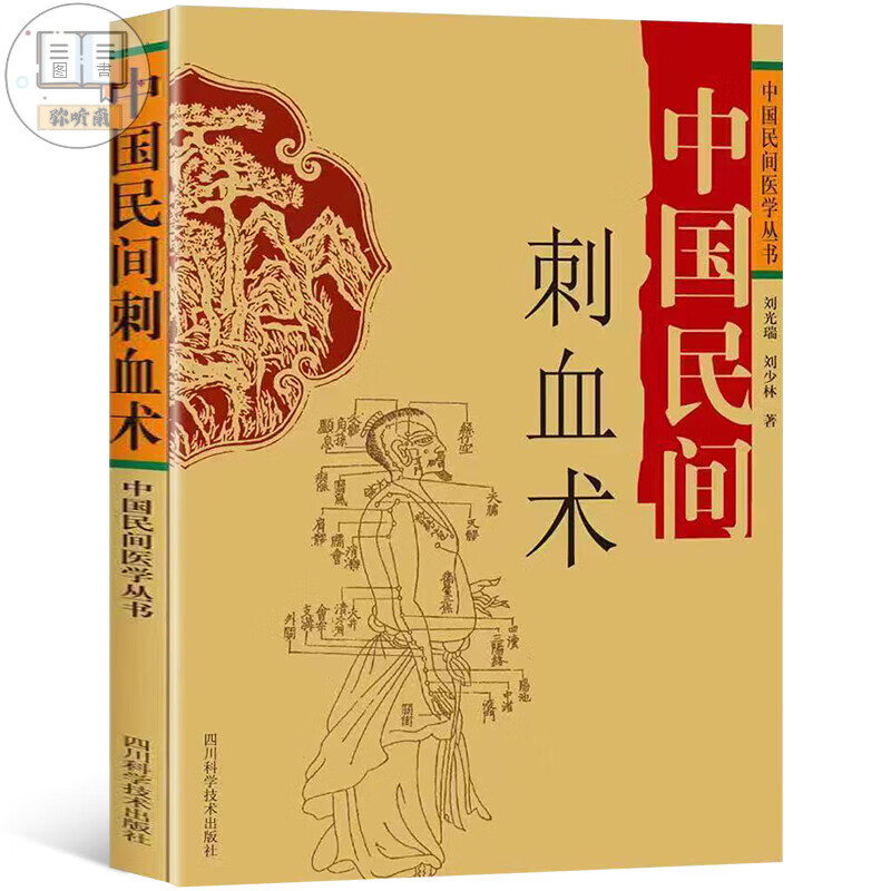 中国民间刺血术中医大全中国民间医学丛书 小方治大病 民间治病手法 单方草药 临床经验 良法良药刘光瑞著