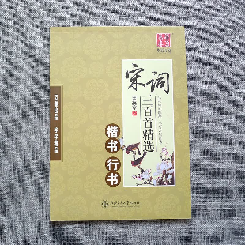 字帖唐诗宋词名家散文楷书入门速成技法教程笔画偏旁间架结构常用7000字控笔训练田英章卢中南吴玉生正楷行书行楷钢笔书法 宋词三百首(楷书行书)田英章