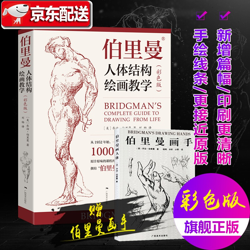 伯里曼人体结构绘画教学彩色版 高清还原图画稿版 人体结构造型手绘技法艺用人体构解剖人物模型素描速写临