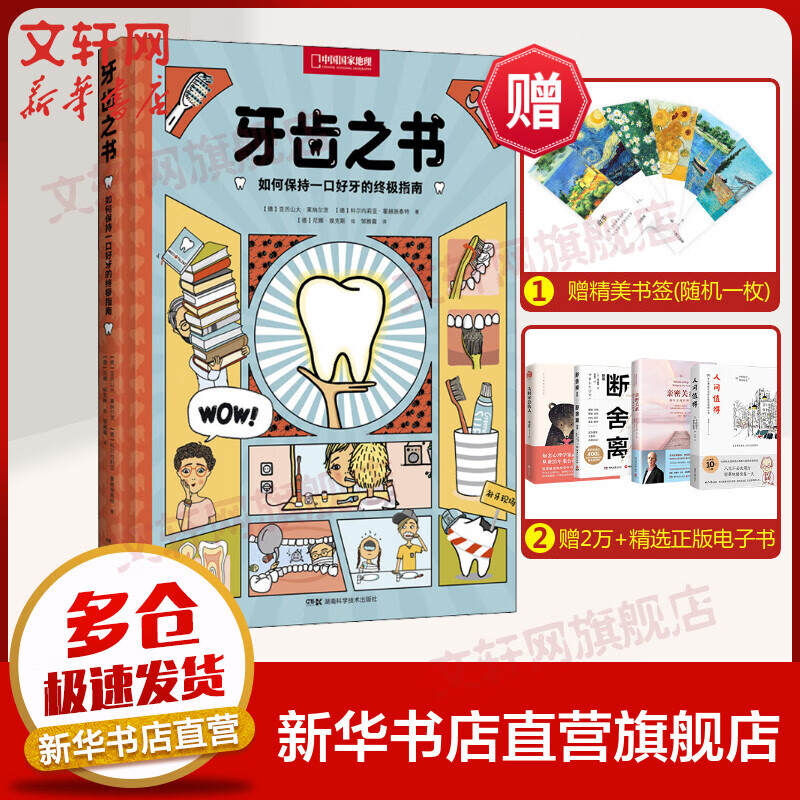 牙齿之书 如何保持一口好牙的终极指南 图书