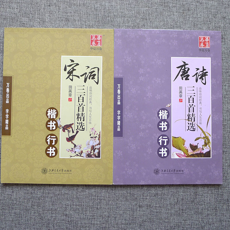 字帖唐诗宋词名家散文楷书入门速成技法教程笔画偏旁间架结构常用7000字控笔训练田英章卢中南吴玉生正楷行书行楷钢笔书法 [唐诗+宋词](楷书行书) 田英章2