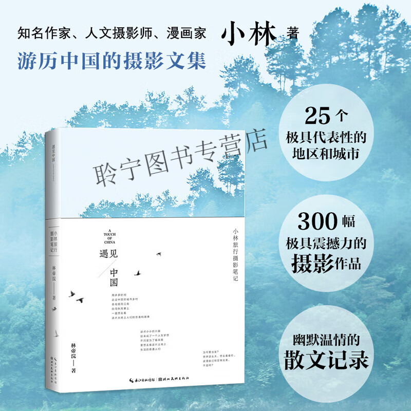 遇见中国(小林旅行摄影笔记)遇见中国 林帝浣摄影文集25个代表性城市300幅震撼作品