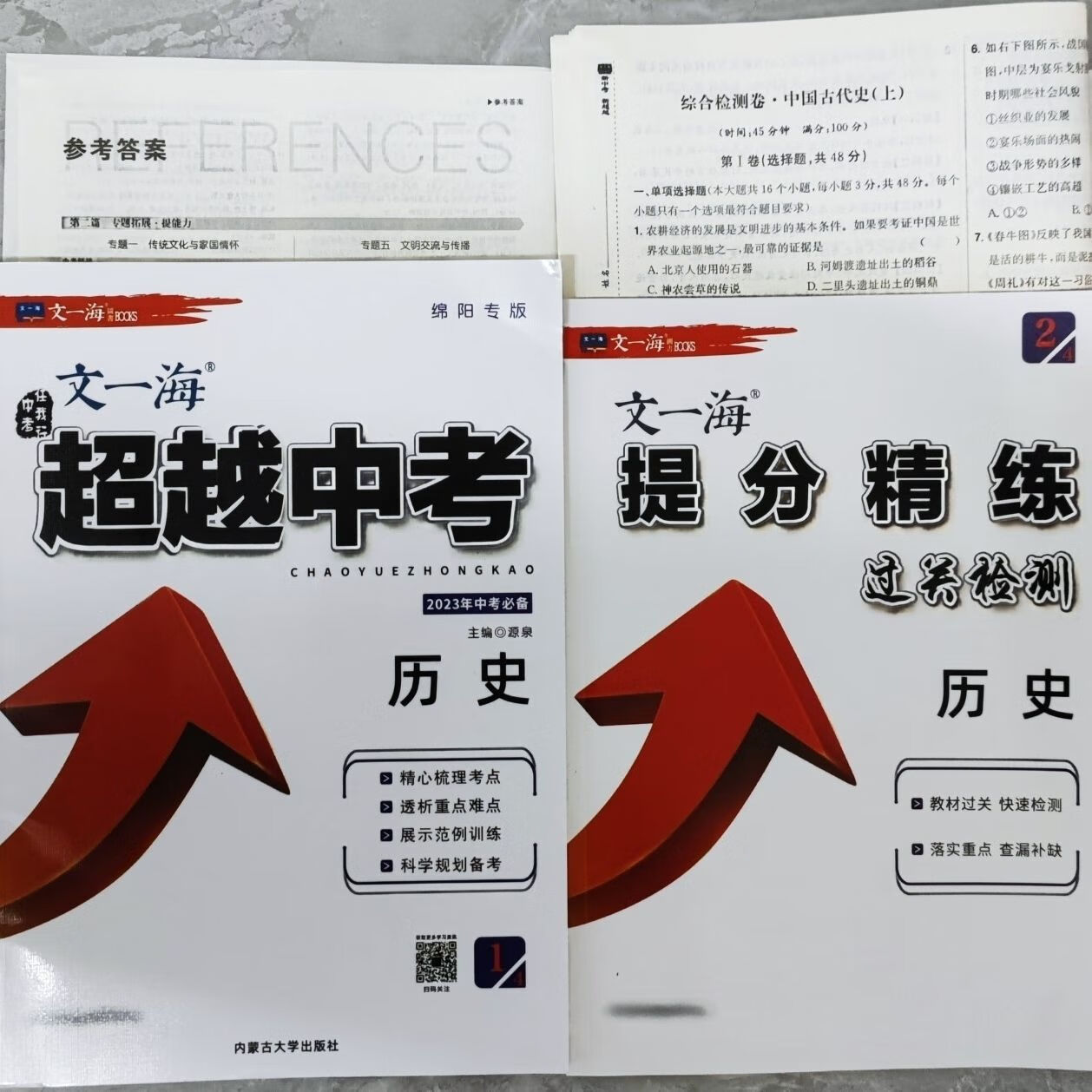 2023 专版 绵阳专版 超越中考历史