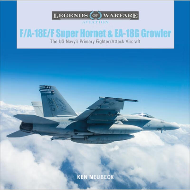 F/A-18E/F Super Hornet and EA-18G Growler: The US Navy's Primary Fighter/Attack Aircraft: The ...